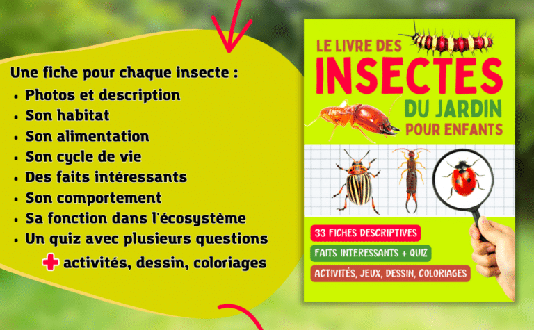 Le livre des insectes du jardin pour enfants - 33 fiches