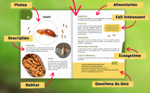 Le livre des insectes du jardin pour enfants - 33 fiches